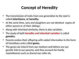 Comprehensive Overview of the Material Basis of Heredity in Cell ...