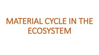 grade 8 science MATERIAL CYCLE IN THE ECOSYSTEM.pptx