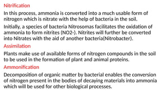 grade 8 science MATERIAL CYCLE IN THE ECOSYSTEM.pptx