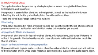 grade 8 science MATERIAL CYCLE IN THE ECOSYSTEM.pptx