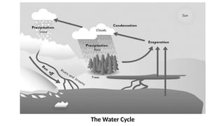 grade 8 science MATERIAL CYCLE IN THE ECOSYSTEM.pptx