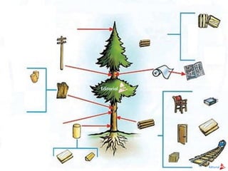 Material de apoyo para primaria | PPT