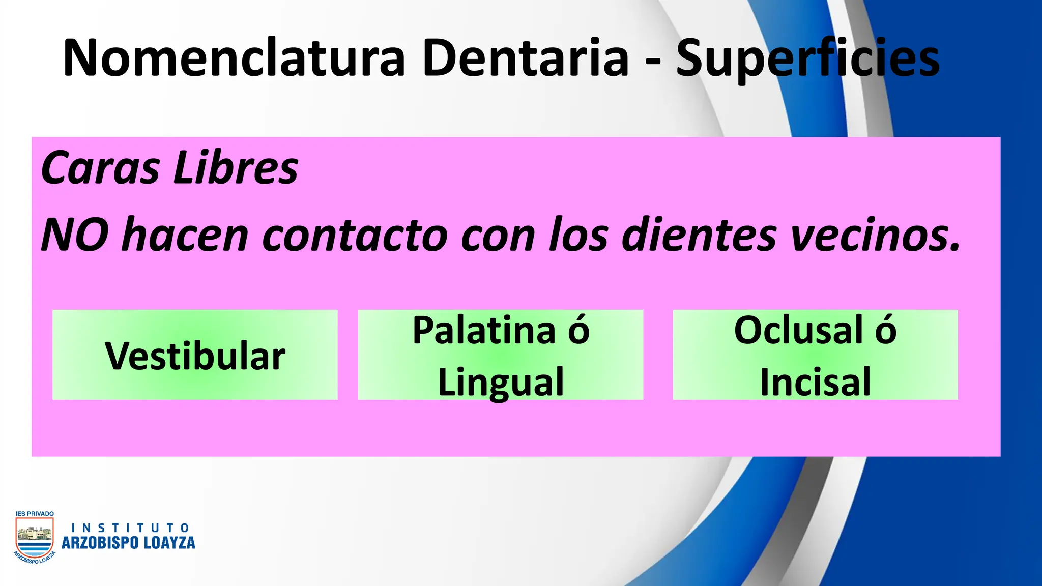 MATERIAL DIDÁCTICO N°4-Nomenclatura, Caras del Diente, División en ...