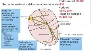material EKG electrocardiograma aaa.pptx