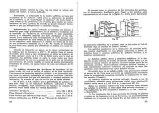 MATERIALES DE CONSTRUCCION - PASMAN.pdf