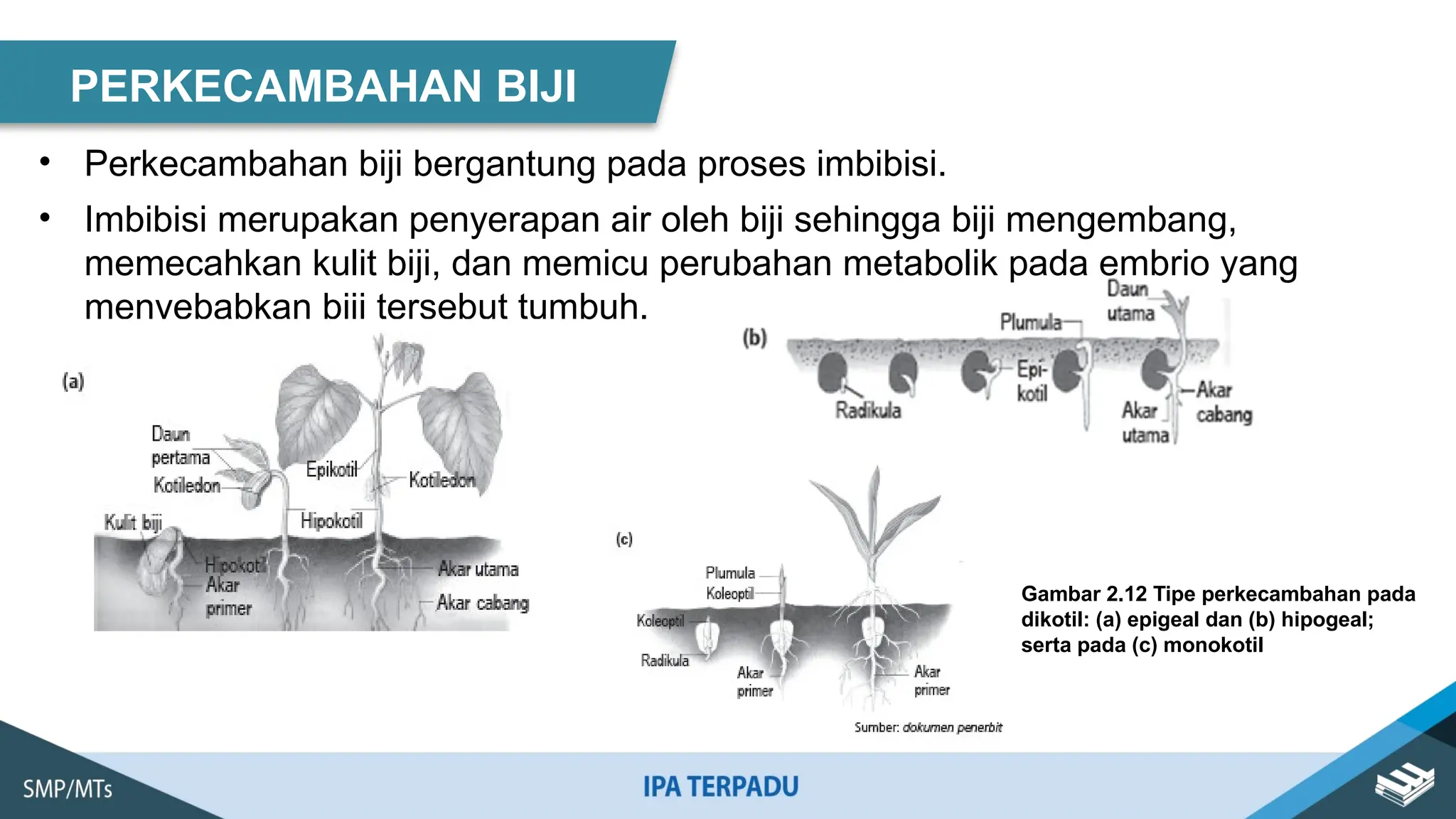 Bahan persentasi mata pelajaran biologi materi Reproduksi kelas 9.pptx