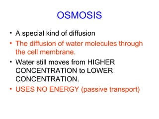 Material flow in the cell ap bio | PPT