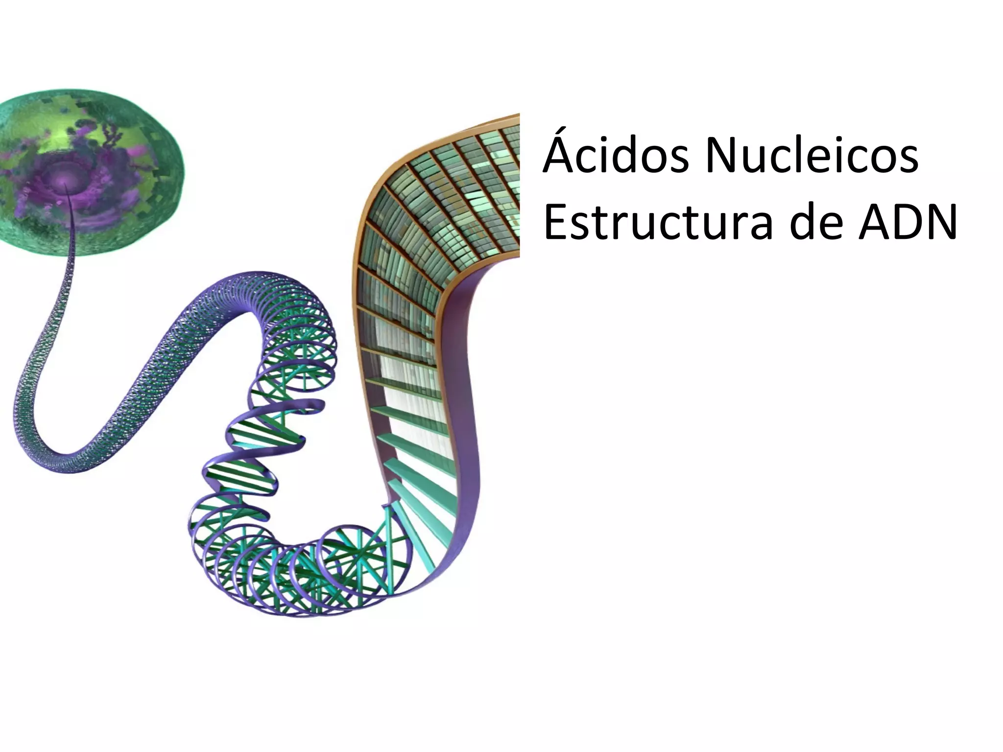 Material genético ADN ARN | PDF