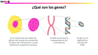ppt para biologia, material genetico adn | PPT