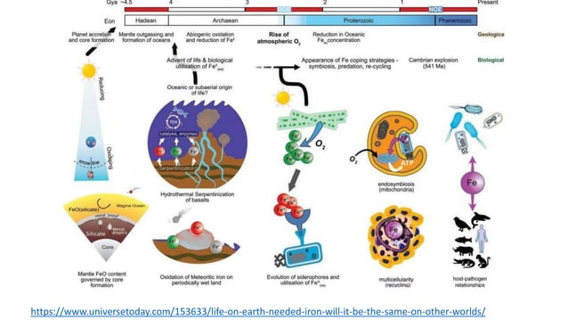 Materiality of Metal for Art | PPT
