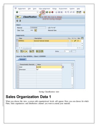 Material master views | PDF