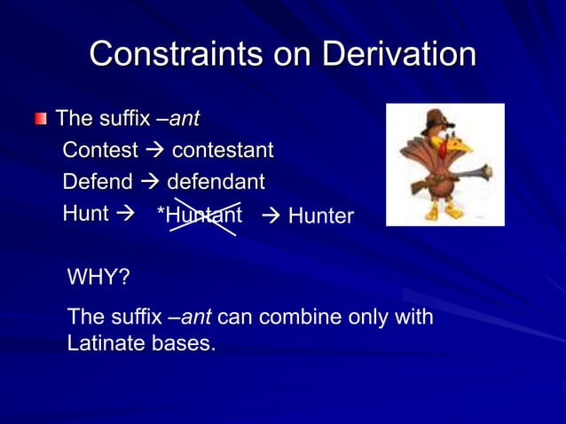 Material of Morphology8989.ppt