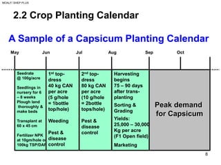 Capsicum production for horticulture science | PDF