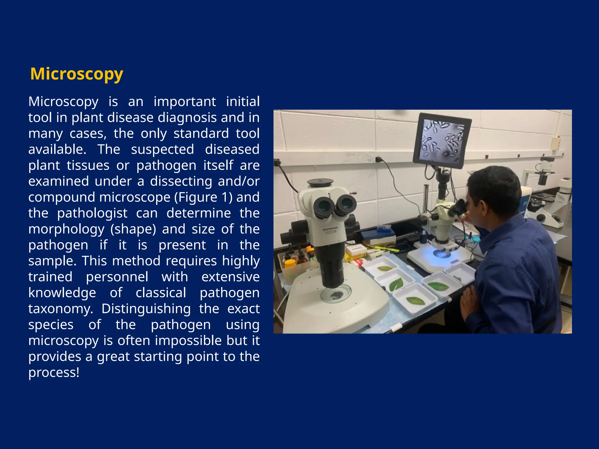 MATERIALS AND INSTRUMENT IN PLAT PATHOLOGY | PPTX