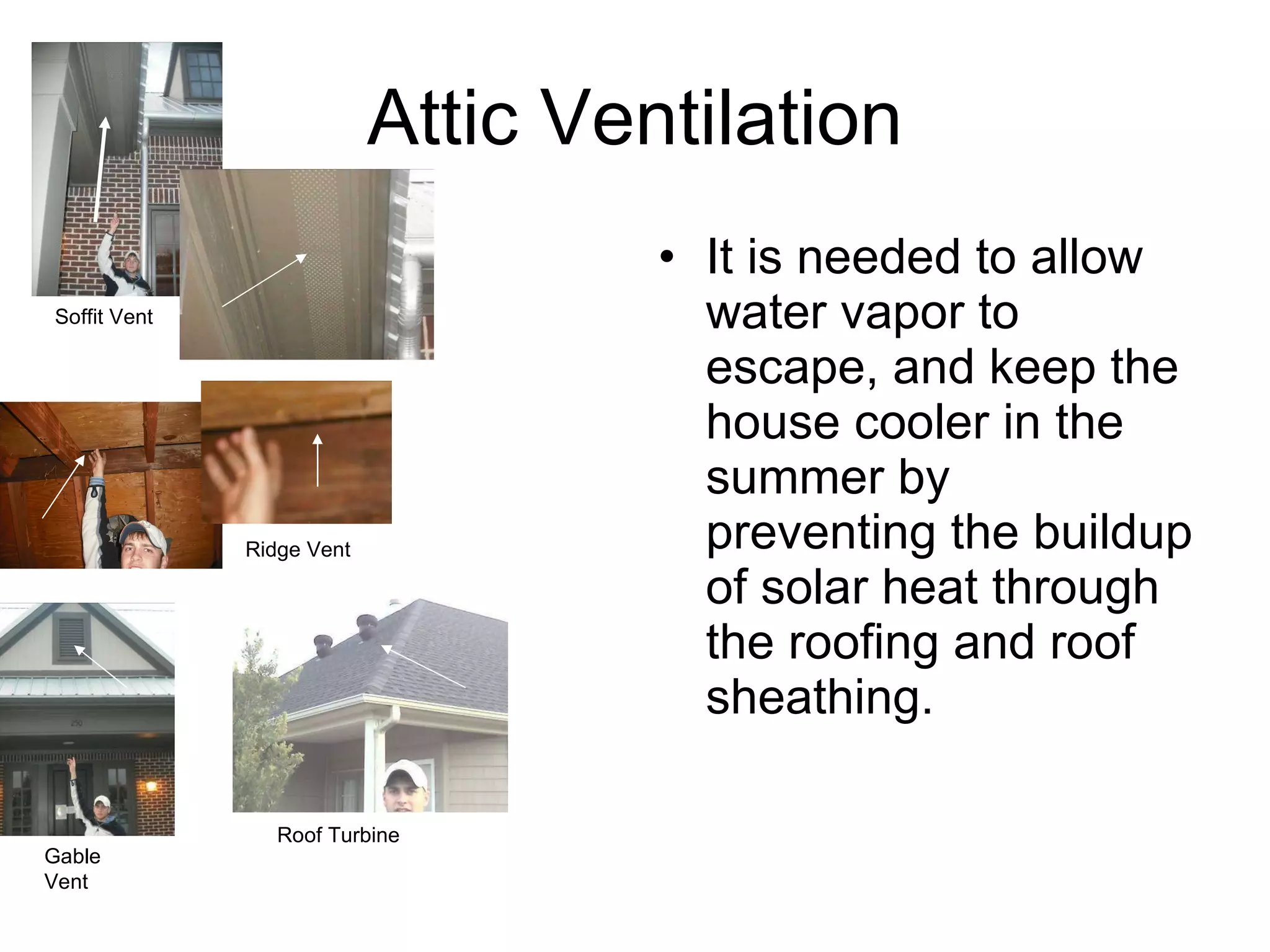 Materials And Methods I Visual Dictionary | PPT