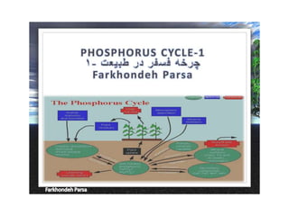 Materials cycle oxygen &phosphorus | PPTX