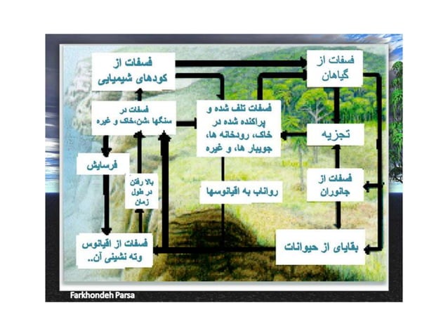 Materials cycle oxygen &phosphorus | PPTX