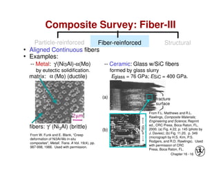 Materials_Science_and_Engineering_Composite_Material_Report.pdf