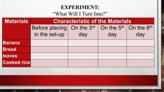 Materials That Undergo Decay.pptx