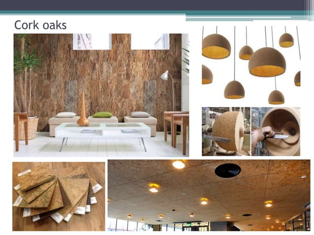 List of Interior Material and Surfaces | PPTX | Woodworking | Arts and ...