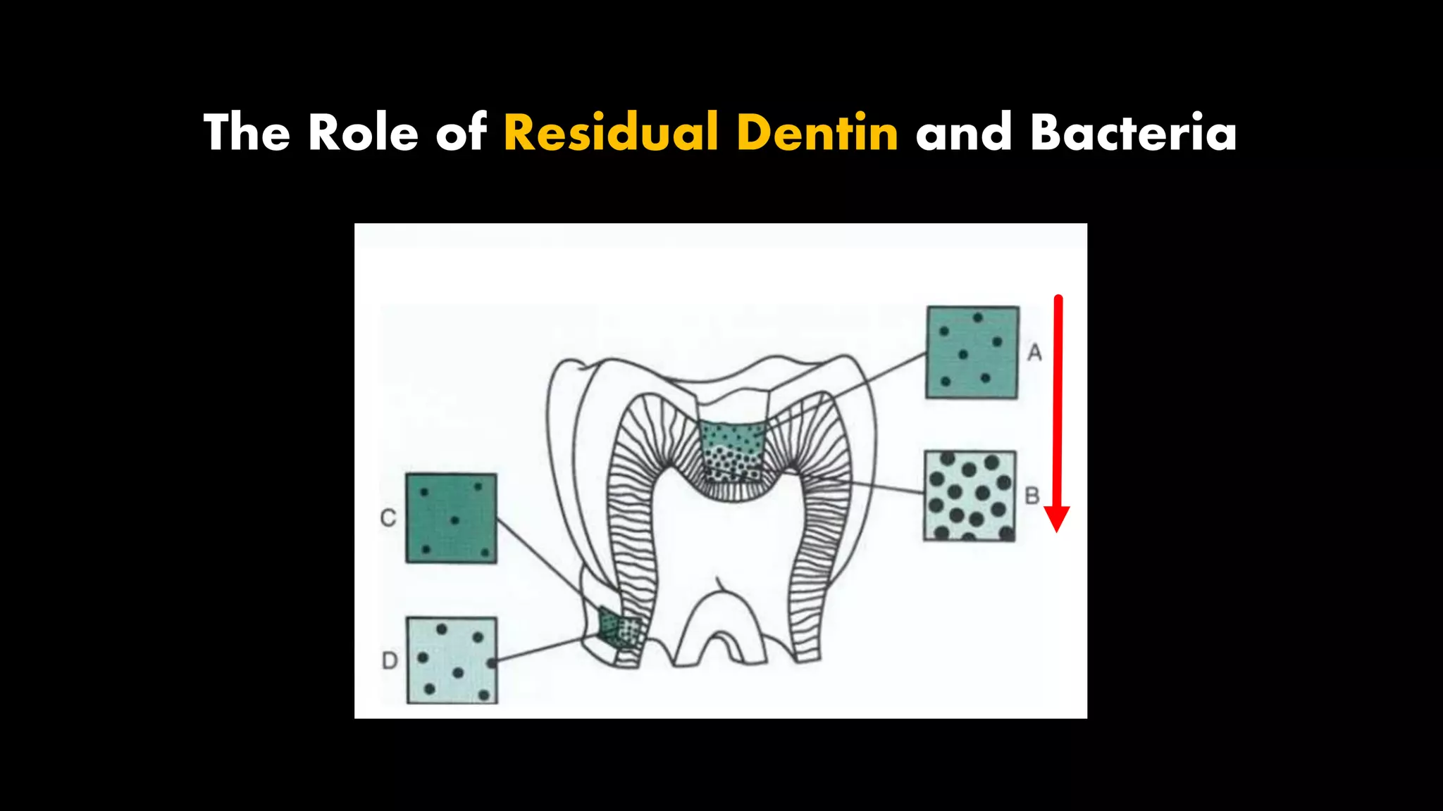 Material tissue interaction | PDF