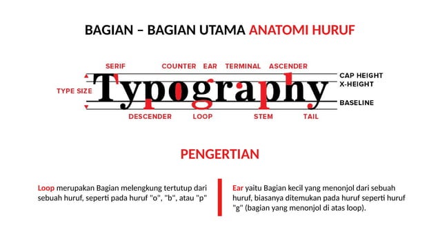 Materi Anatomi Huruf untuk Kelas X DKV.pptx