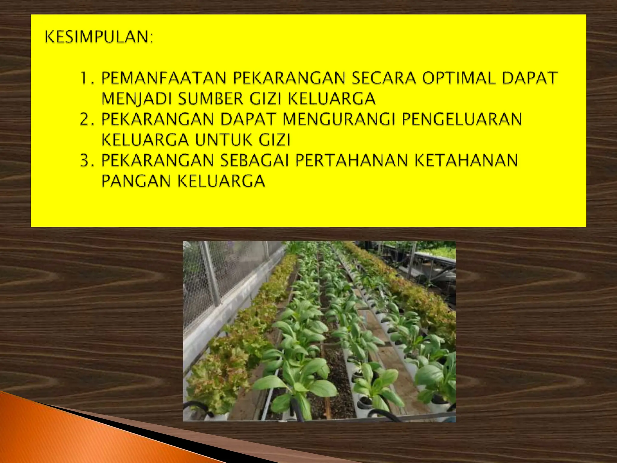 Ketahanan Pangan Keluarga Melalui Pemanfaatan Lahan Pekarangan dan ...
