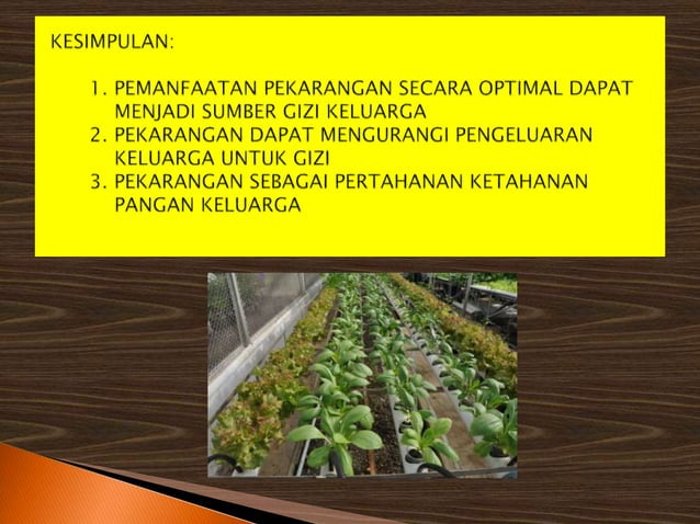 Ketahanan Pangan Keluarga Melalui Pemanfaatan Lahan Pekarangan dan ...