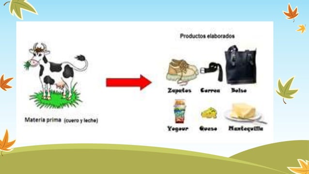Materias Primas y Productos Elaborados