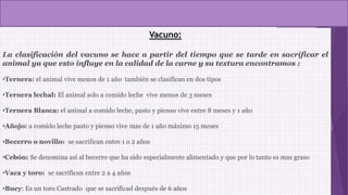 materias primas de origen animal.pdf