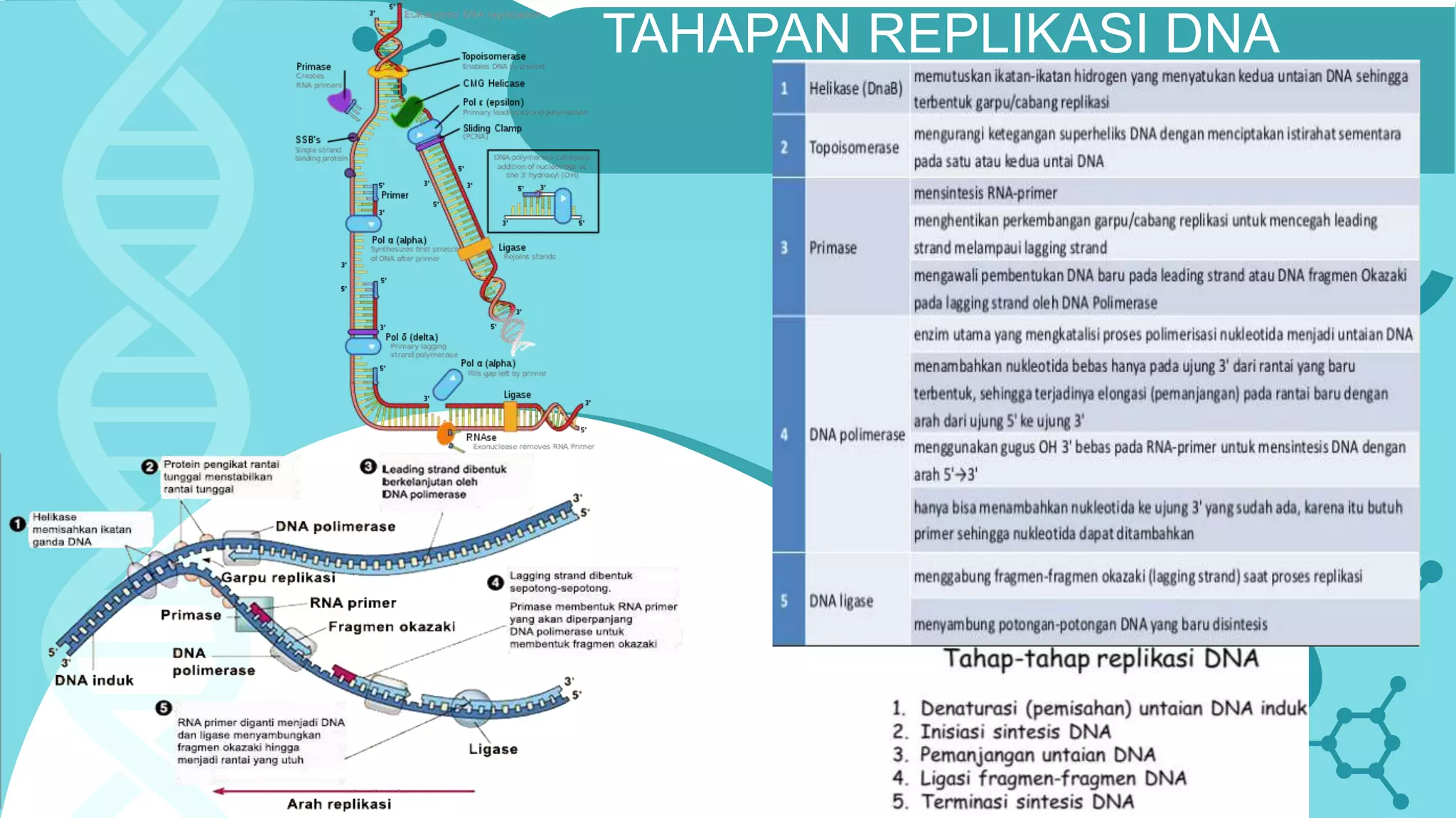 MATERI B8 REG new.pptx