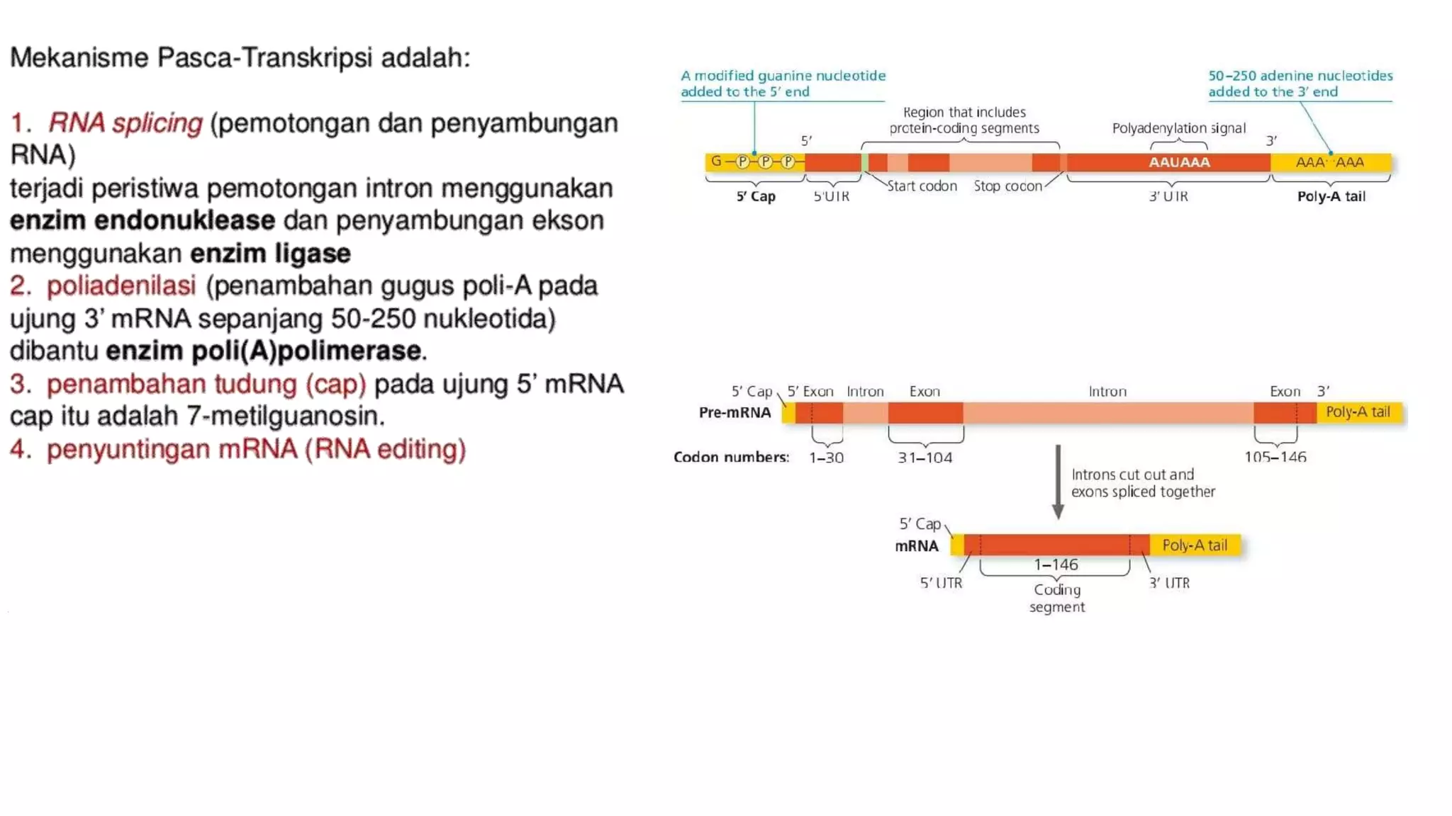 MATERI B8 REG new.pptx