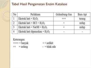 Materi bab 2 metabolisme; sifat-sifat enzim; enzim katalase.pptx