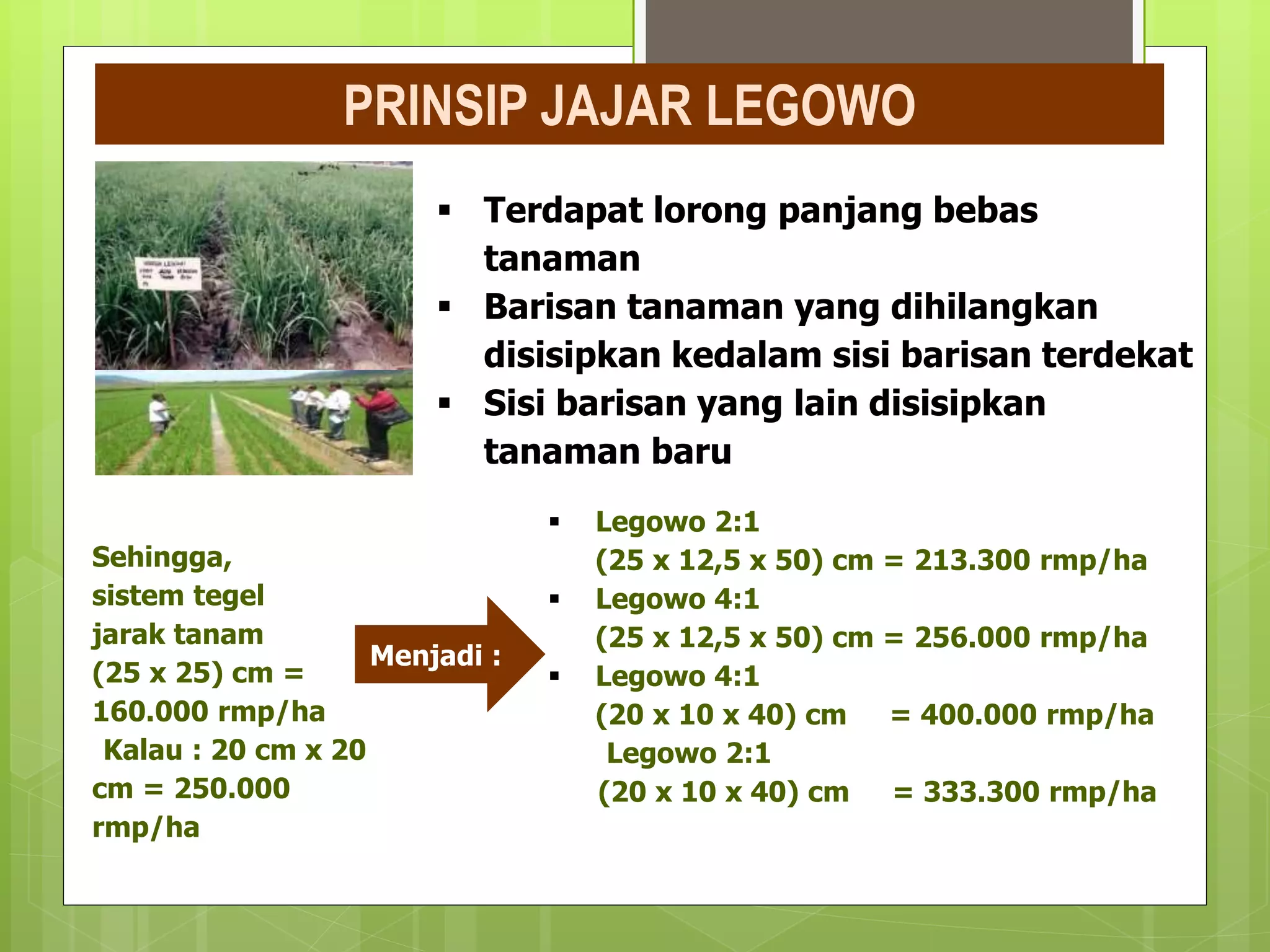 MATERI BAHAN TAYANG JAJAR LAGOWO ( JANUARI ).pptx