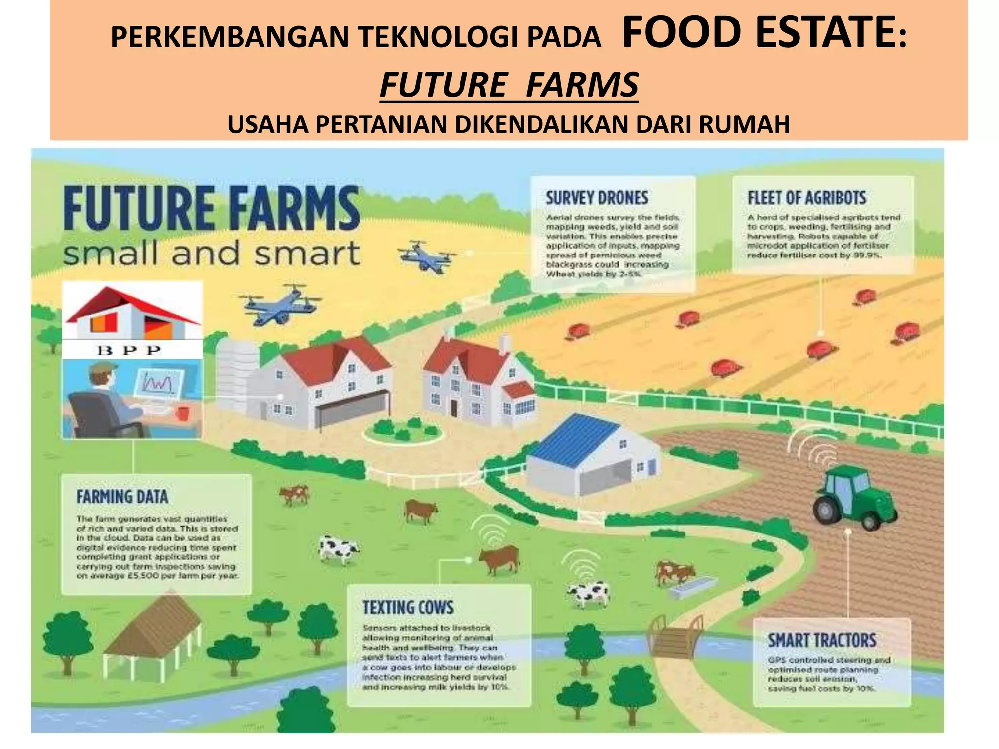 MODEL PENYULUHAN DI FOOD ESTATE SECARA BERKELANJUTAN | PPT