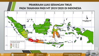 PRESENTASI MATERI BBPOPT BASMI TIKUS.pptx
