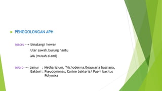 MATERI BELAJAR SL APH.pptx