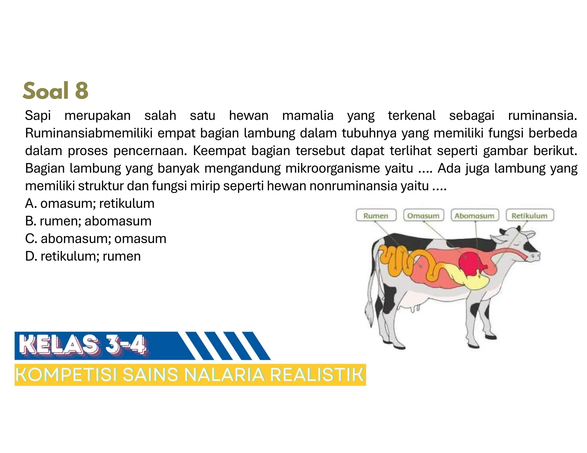 Materi Bina KSNR KELAS 3 DAN 4 Pert6.pdf