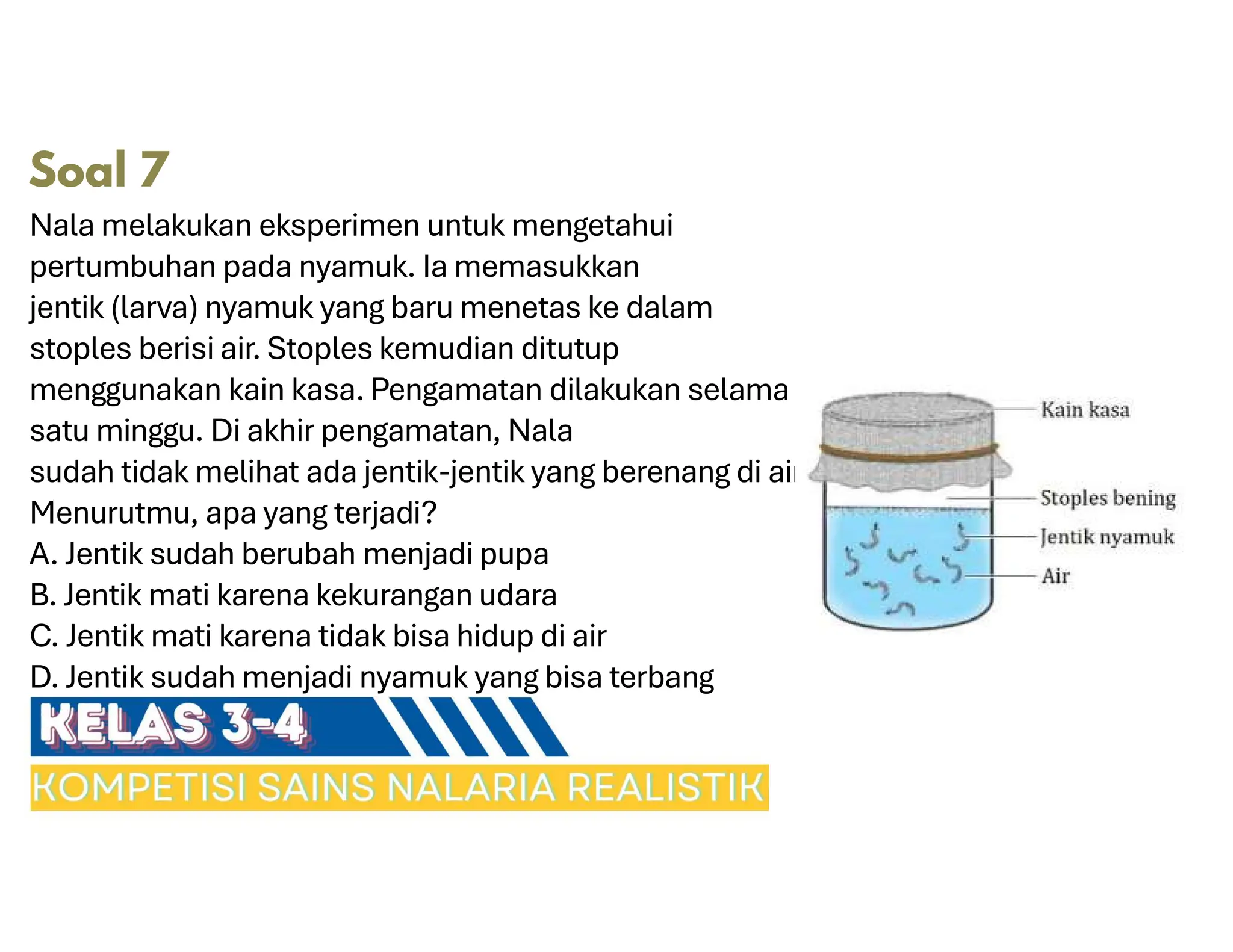 Materi Bina KSNR KELAS 3 DAN 4 Pert6.pdf