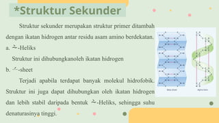 Materi BiokimiaFisik Metabolit Sekunder Protein.pptx