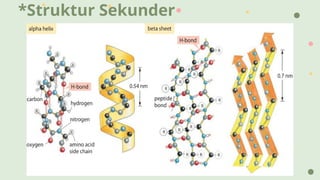 Materi BiokimiaFisik Metabolit Sekunder Protein.pptx