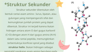 Materi BiokimiaFisik Metabolit Sekunder Protein.pptx