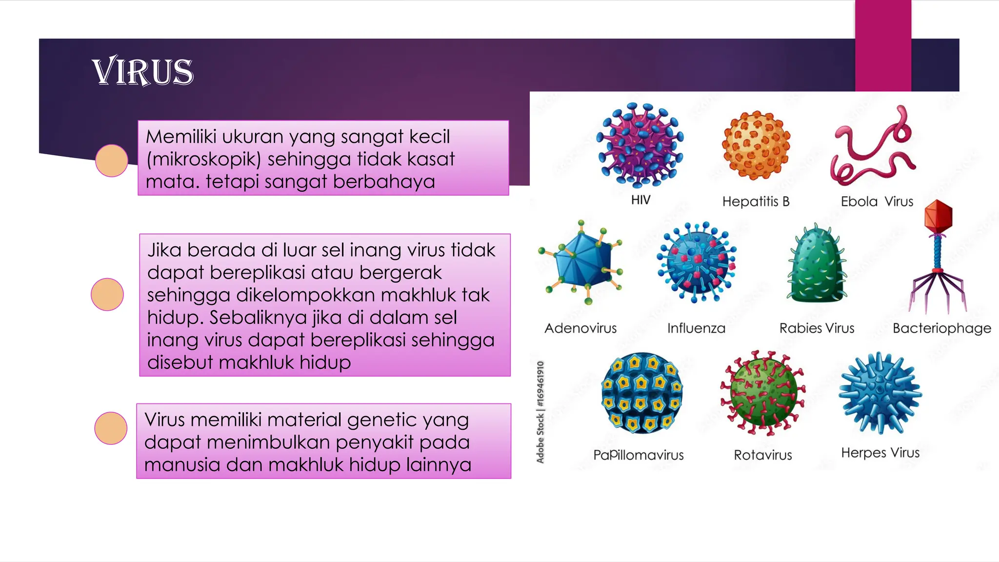 MATERI BIOLOGI VIRUS KURIKULUM MERDEKA KELAS X.pptx