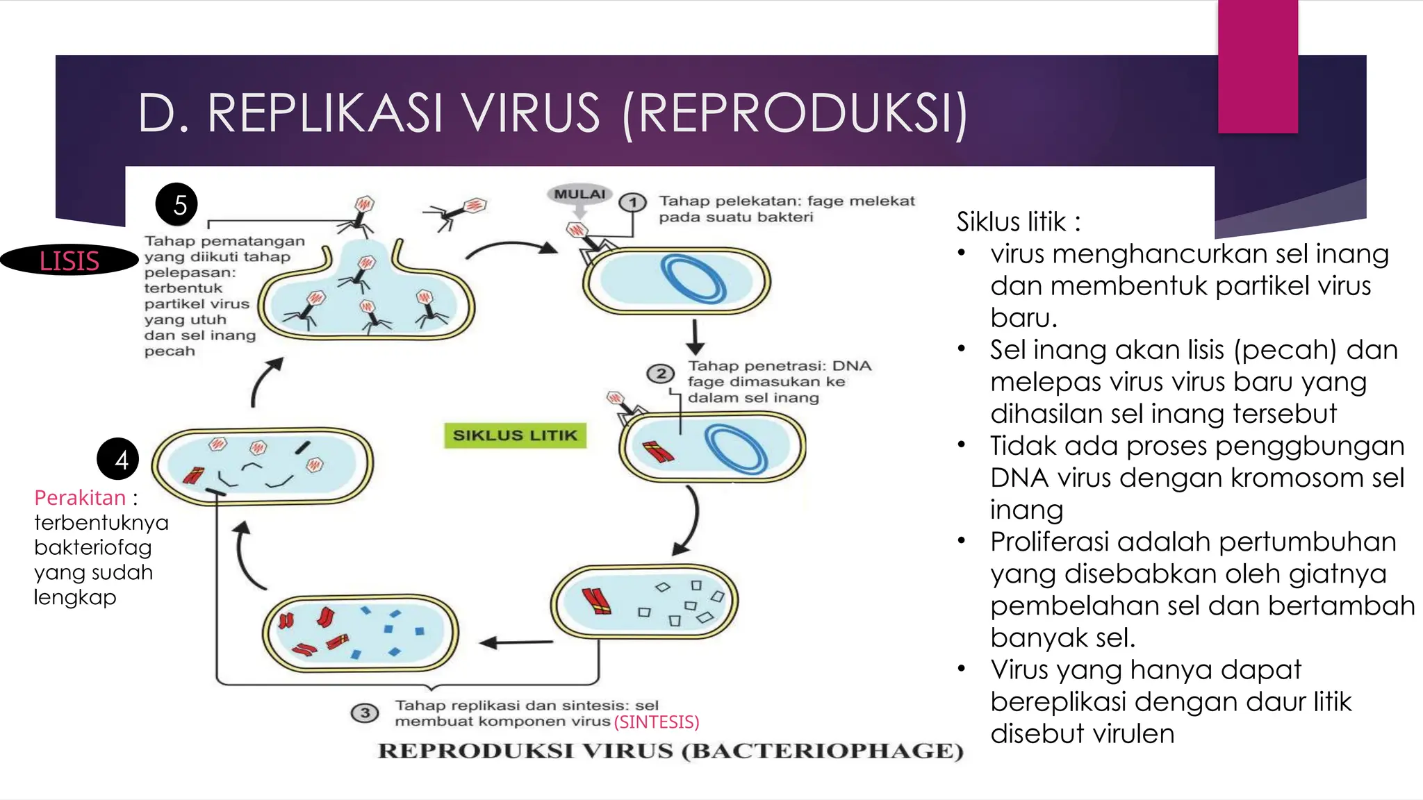 MATERI BIOLOGI VIRUS KURIKULUM MERDEKA KELAS X.pptx