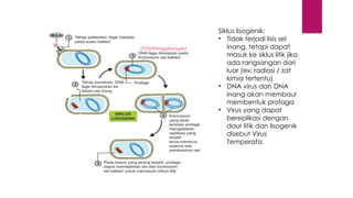 MATERI BIOLOGI VIRUS KURIKULUM MERDEKA KELAS X.pptx