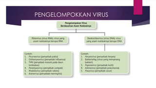 MATERI BIOLOGI VIRUS KURIKULUM MERDEKA KELAS X.pptx