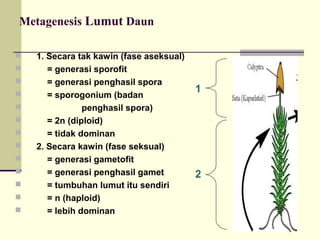 Materi biologi plantae | PPT