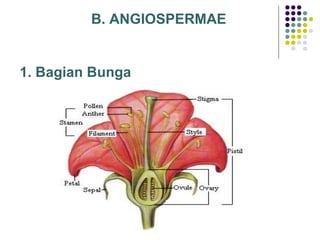 Materi biologi plantae | PPT