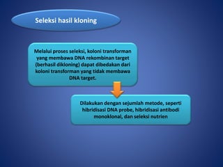 Materi biologi sel -- kloning | PPTX