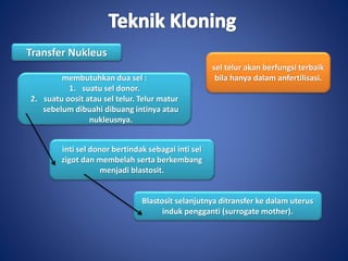 Materi biologi sel -- kloning | PPTX